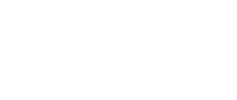 Rimsa - SYNTERA